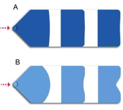 A New Flow-Fiber Coupling Model to Simulate the Anisotropic Flow for ...